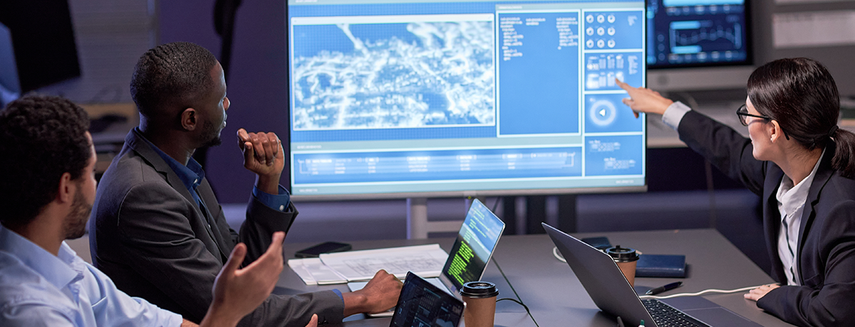 Security, Risk, and Compliance Domain Committee - Information Technology