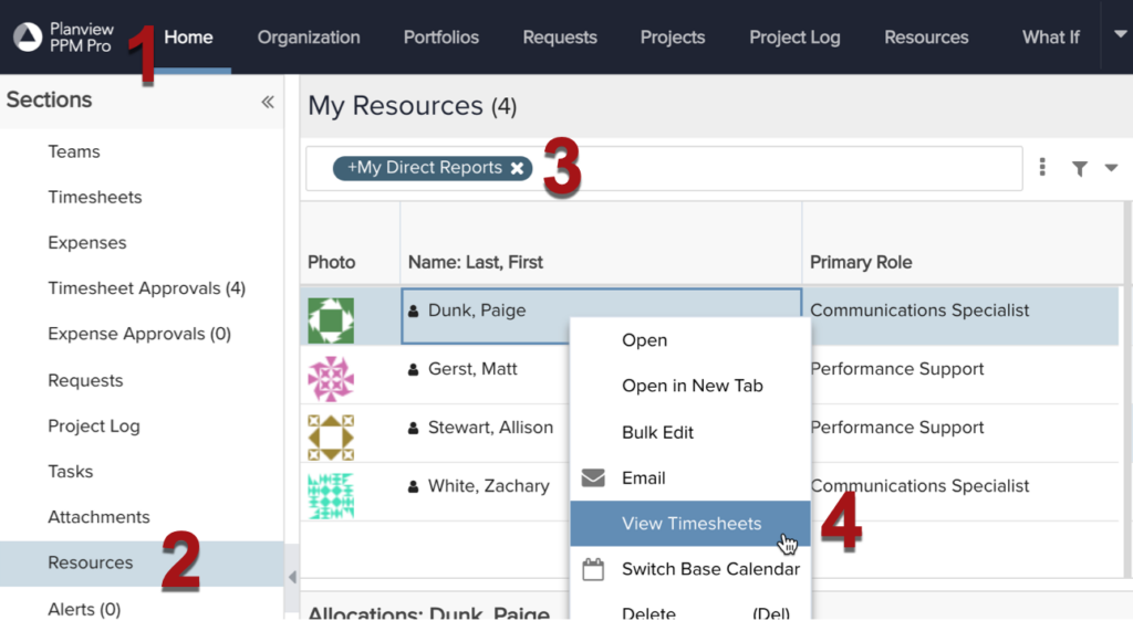 Planview PPM Pro - Information Technology