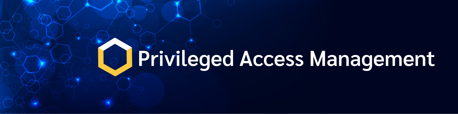 Privileged Access Management - Information Technology